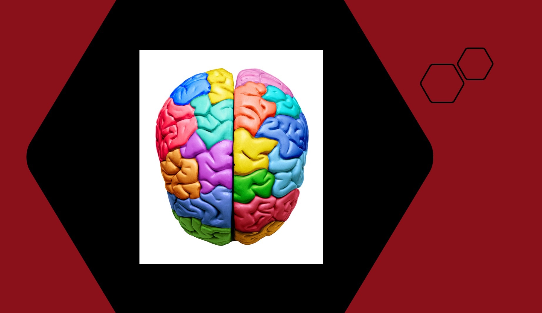 The Neuroscience of Curiosity: A Leader's Untapped SuperPower - Bob Tiede